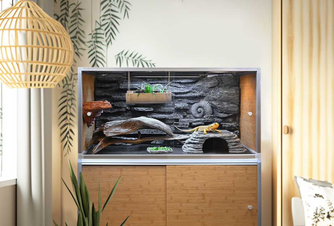 Habitats Enclosures for Reptiles & Small Animals | Zen Habitats – Zen ...