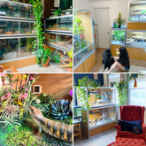 Habitats Enclosures for Reptiles & Small Animals | Zen Habitats – Zen ...